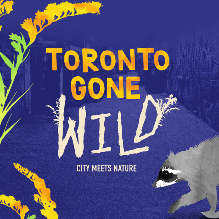Toronto Gone Wild with Curators Jennifer Bonnell and Amy Lavender ...