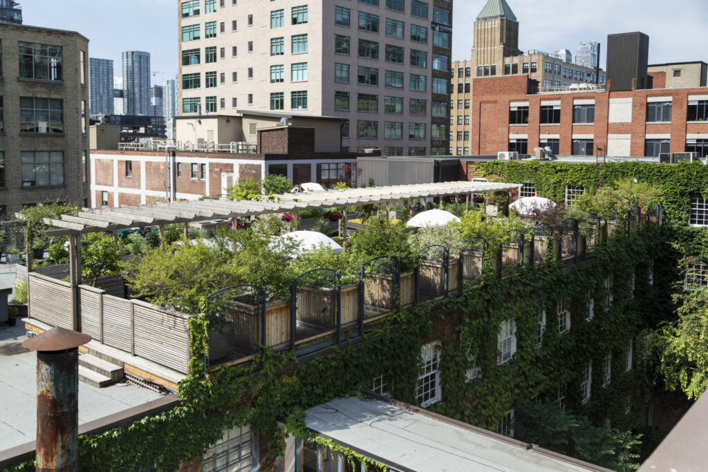 A Dish With One Spoon - Museum of Toronto