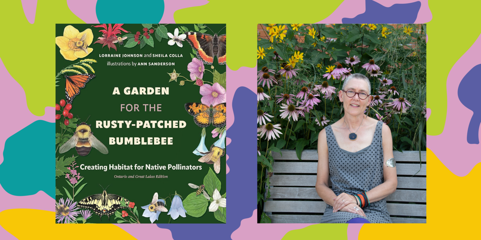 Mushrooming, Foraging & Native Pollinator Gardens in Toronto - Museum ...