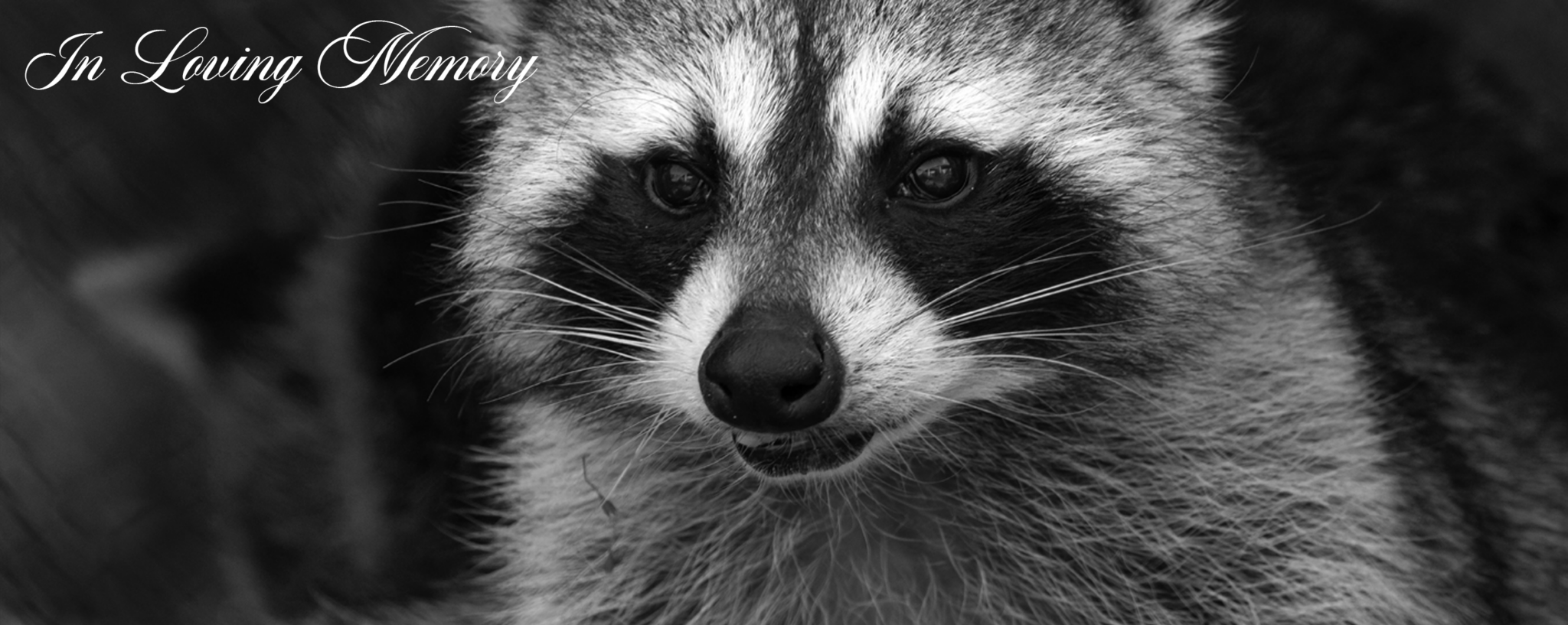 Marcus Garvey and the UNIA - Museum of Toronto