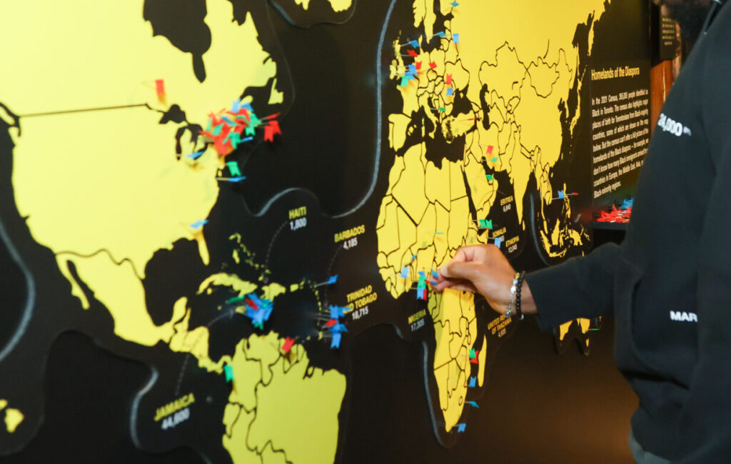 The History of the Toronto Toros Hockey Team - Museum of Toronto